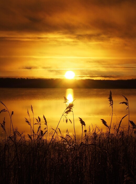 10 Zajímavostí o Slunci :: Kouzlolesa-cz